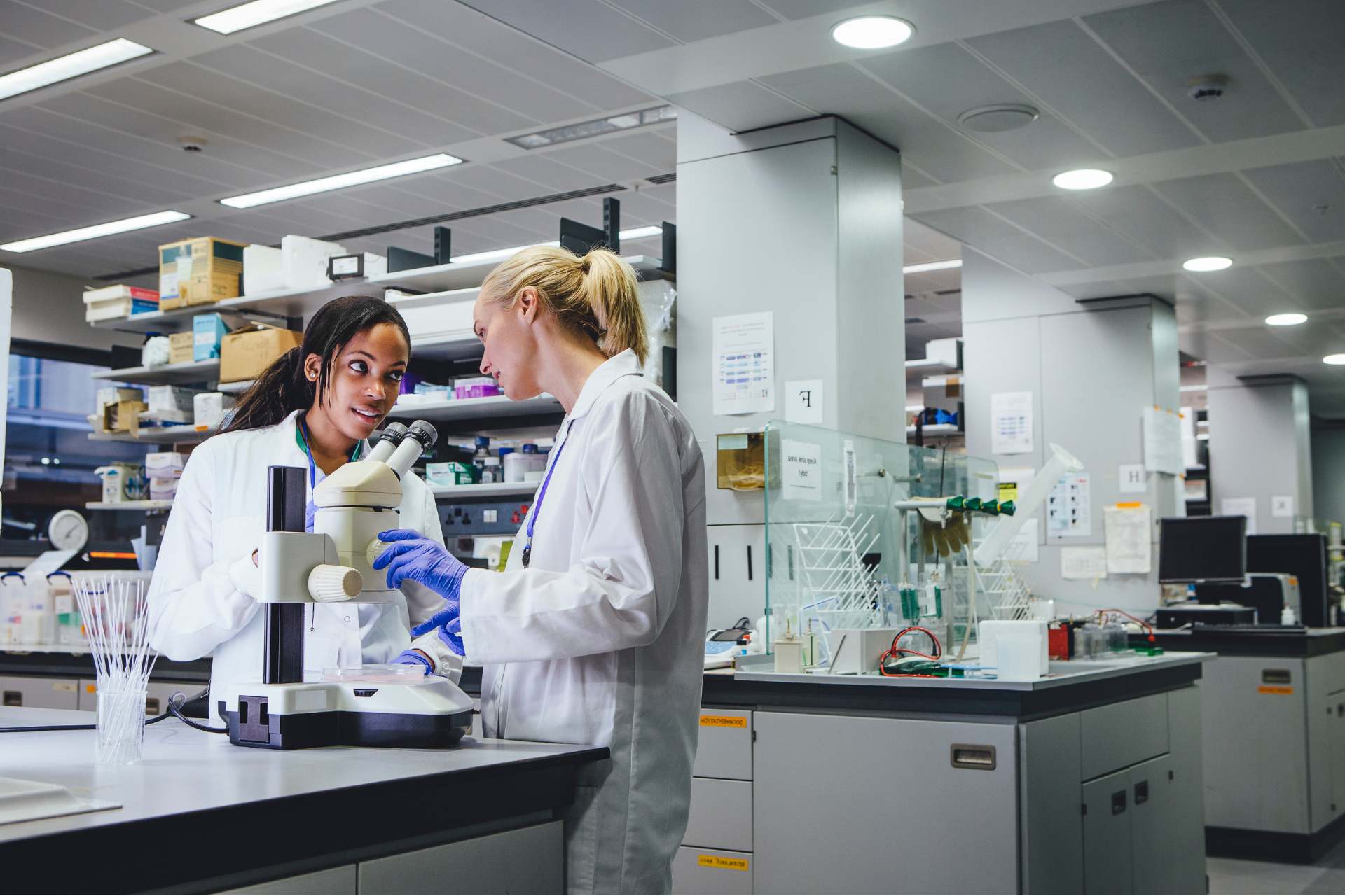 Research and Development - IMC Life Sciences